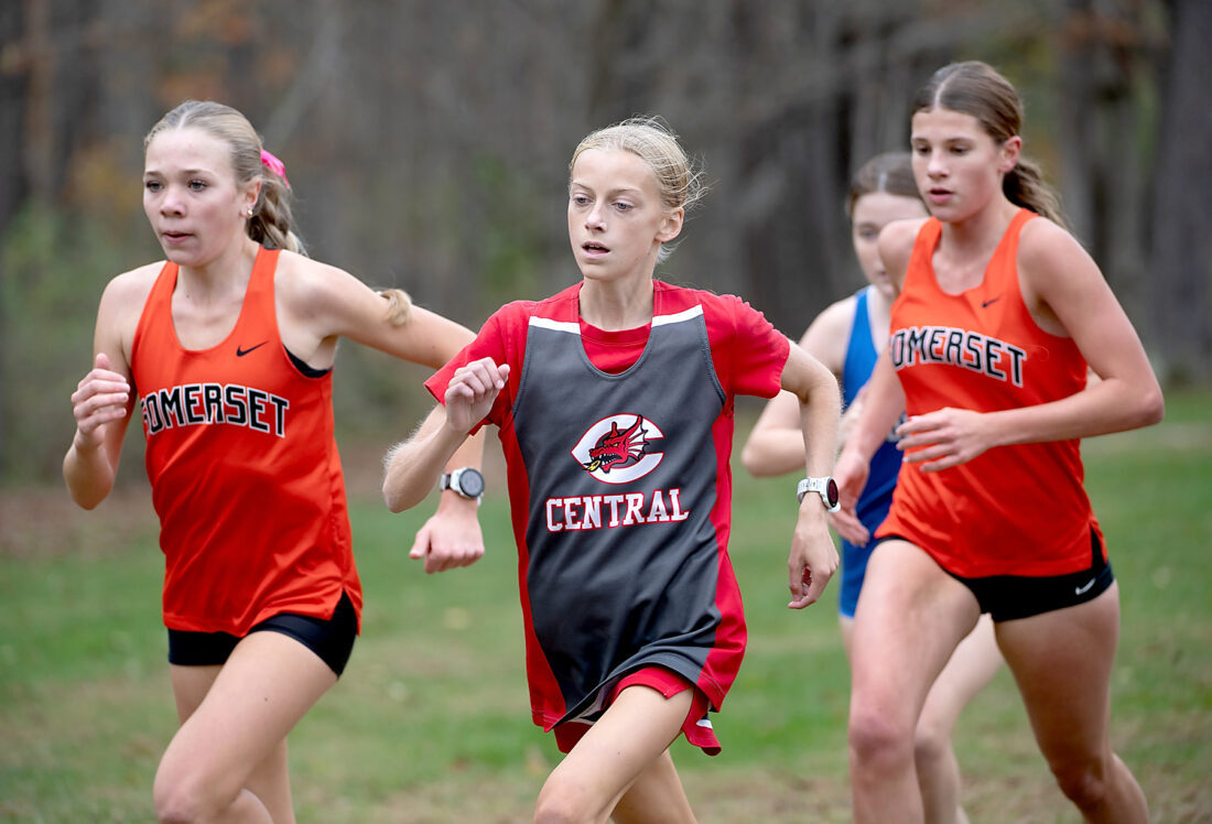 Berkhimer, Haycisak shine at LHAC cross country meet | News, Sports ...